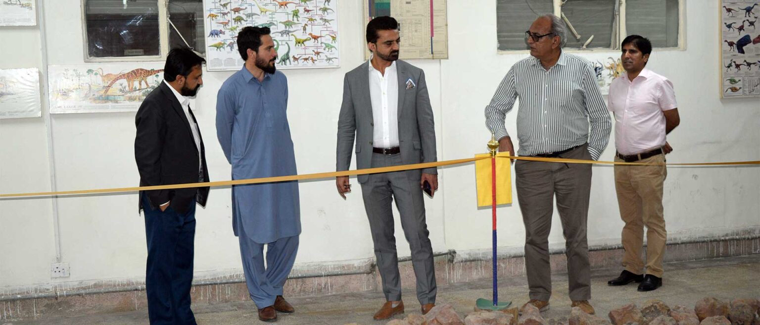 Geological Survey of Pakistan - GSP